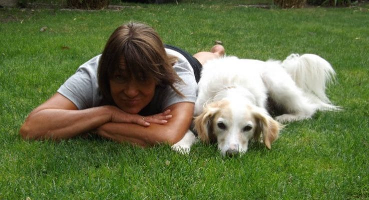 Das Blutohr oder Othämatom beim Hund - Wissen-Hund.de